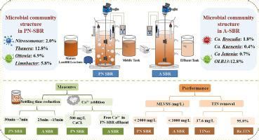 Pn A Bioresource Technology X Mol