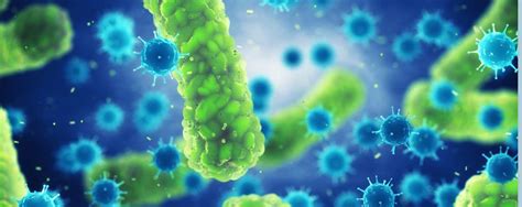 Erythromycin 1 Microbiology Resource Hub