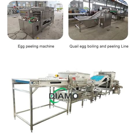 Industry Egg Breaking Machine Liquid Egg Processing 30000eggsh