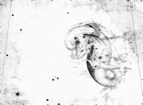 Delphinus Constellation Photograph By Royal Astronomical Society
