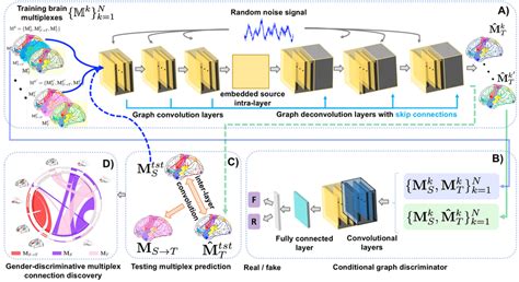 Proposed Deep Brain Multiplex Prediction Dbmp Framework From A Source
