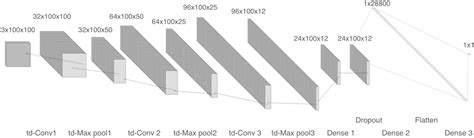voice spoofing detection using a neural networks assembly considering