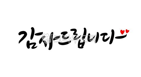 감사합니다캘리그라피 감사드립니다 캘리그라피 감사캘리그라피 인사말 사진 이미지 일러스트 캘리그라피 복주머니작가