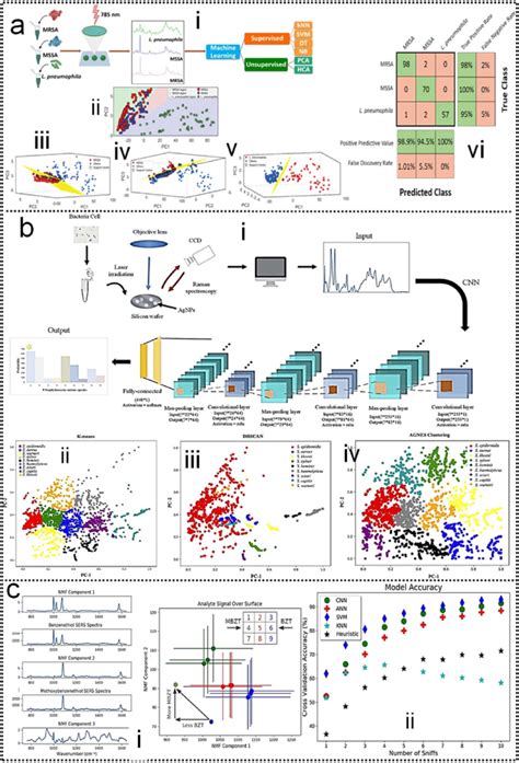 A Identification Of Methicillin Resistant Staphylococcus Aureus Download Scientific Diagram