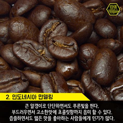 꿀팁 저장소 취향 따라 맛있게 먹을수있는 원두의 종류 커피 못먹는 친구들 태그