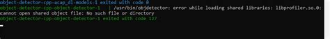 Build External Library And Integrate With Acap Computer Vision Issue