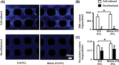 Wnt3a Induced St2 Decellularized Matrix Ornamented Pcl Scaffold For
