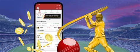 How To Earn Money Betting On Cricket