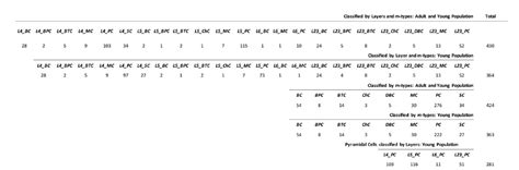 Figure 1 From Morphological Neuron Classification Using Machine