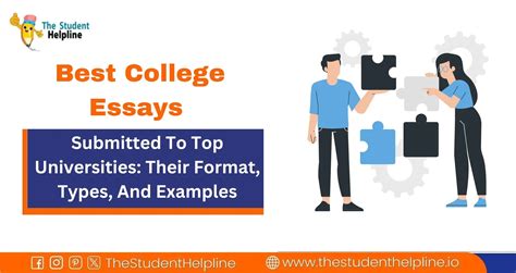 Schons Reflective Model A Complete Essay Reflection Guide
