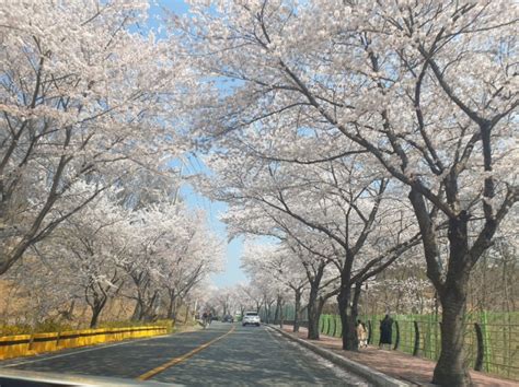 단순하고 평범한 일상속의 아름다움 네이버 블로그