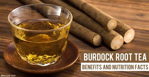 Burdock Root Tea Recipe Besto Blog