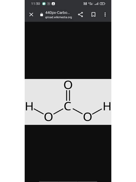 Structure Of Carbonic Acid Pdf