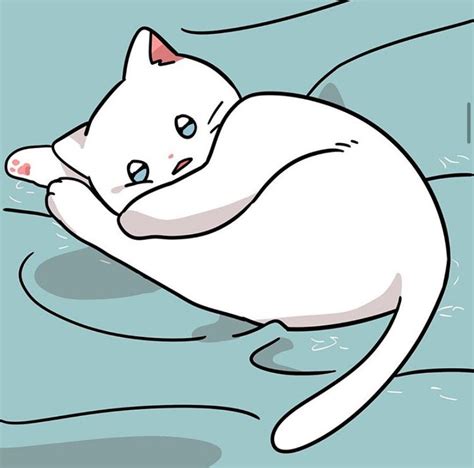 A White Cat Laying On Its Back In The Water