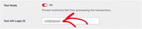 How To Test Authorize Net Payments Before Accepting Real Payments