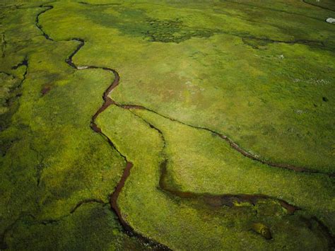 Biofuel From Algae Harnessing Natures Power For A Sustainable Future