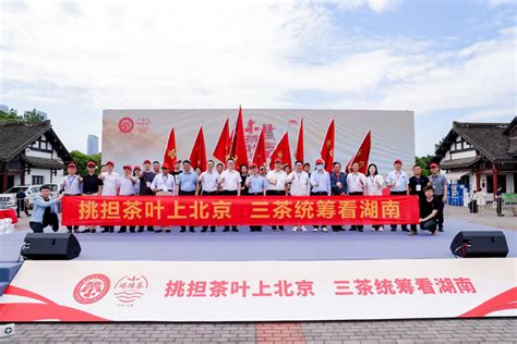 “挑担茶叶上北京”湘茶推广行动启动 要闻 湖南在线 华声在线