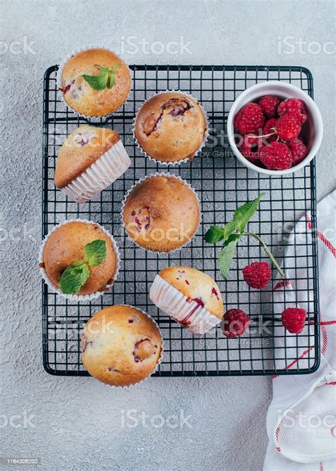 가벼운 콘크리트 배경에 냉각 금속 그릴에 베리 라즈베리 머핀 맨 위 보기 복사 공간 0명에 대한 스톡 사진 및 기타 이미지 0명 과일 금속 Istock