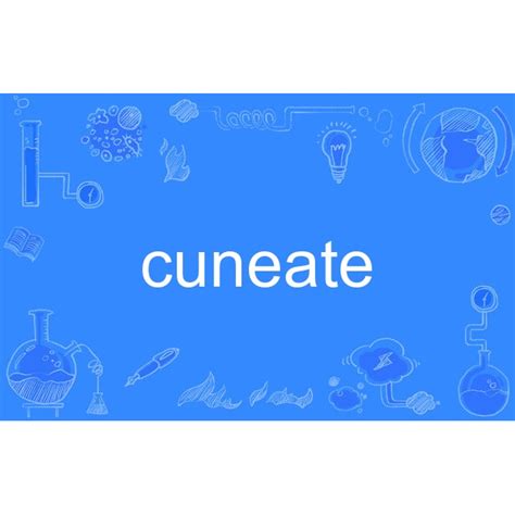 Cuneate 百度百科