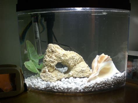 G And G Redecorated Tropical Fish Keeping