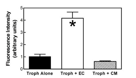 Quantitative Image Analysis Of β1 Integrin Immunofluorescence Download Scientific Diagram