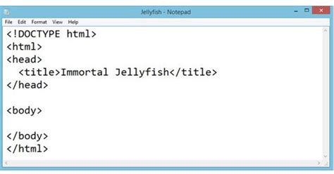 1 2 Communication And Internet Technologies Flashcards Quizlet