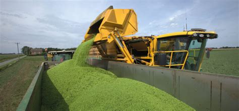 How Satellite Imagery Could Revolutionise Pea Harvest Anglia Farmer