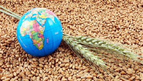 موريتانيا تشارك في اجتماع دولي حول الأمن الغذائي الصحراء
