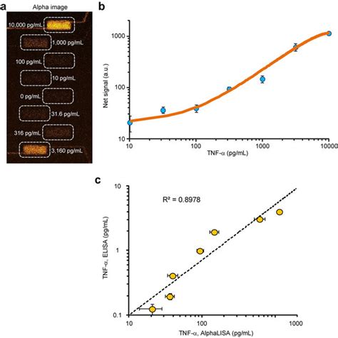 Standard Calibration Curve For Tnf α Detection Using The Integrated Download Scientific Diagram