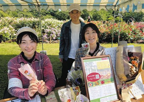 生田緑地ばら苑公開始まる 色とりどり800種咲き誇る 記念誌作成目指しクラファン 47NEWSよんななニュース