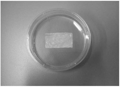 组织工程皮肤及其制备方法与流程 3