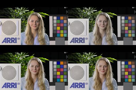 Chroma Compression Explained Vwg Output Transforms Community