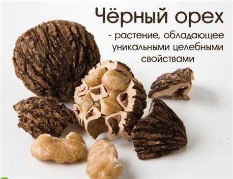 Черный орех айхерб: 7 уникальных и доступных БАД - ТопХерб