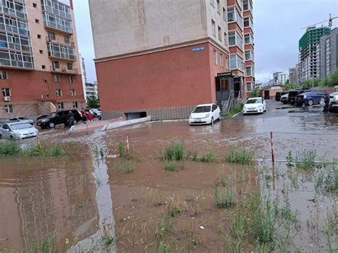 Бохирдсон хөрсөө өөрөө хэрхэн ариутгах вэ