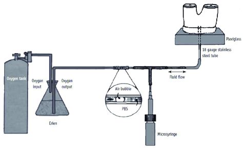 Fluid Filtration Device Used To Measure The Microleakage Of Composite Download Scientific