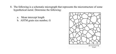 Solved The Following Is A Schematic Micrograph That Chegg
