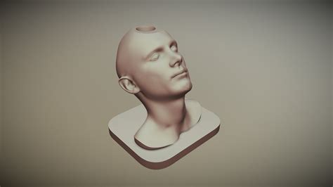 My Scanned Head Ready To Print Download Free 3d Model By Shahriyar