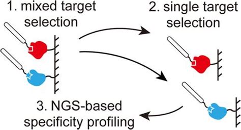 Phage Display Selection Against A Mixture Of Protein Targetsacs