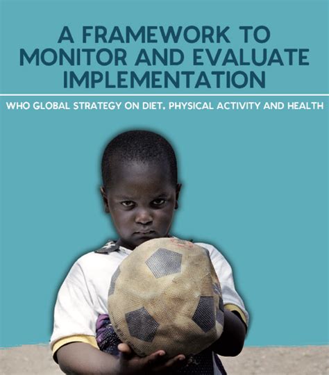 Framework To Monitor And Evaluate Implementation Of The Global Strategy