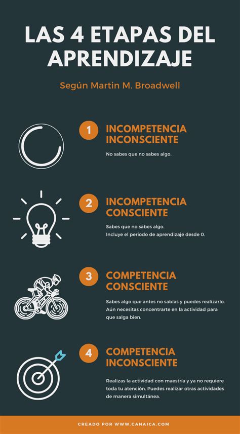 👨‍🏫 Las 4 Etapas Del Aprendizaje 【2020】