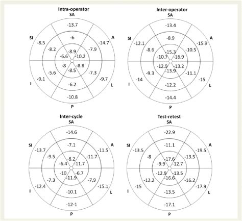 Bulls Eye Representation Of Left Ventricular Segmental 18 Segment Download Scientific Diagram