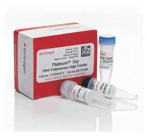 Taq Dna Polymerase Invitrogen