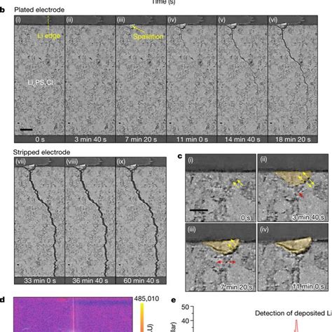 Dendrite Initiation And Propagation In Lithium Metal Solid State