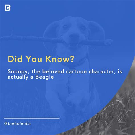 Barket On Linkedin Barketfacts Didyouknow Animallovers