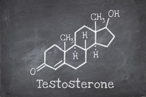 The Relationship Between Testosterone And Thyroid Function Twa Health