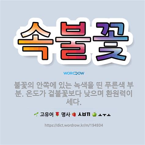 🌟속불꽃 불꽃의 안쪽에 있는 녹색을 띤 푸른색 부분 온도가 겉불꽃보다 낮으며 환원력이 세다 표준국어대사전