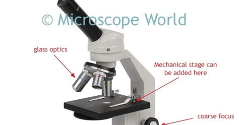 Microscope World Blog Best Teaching Microscopes