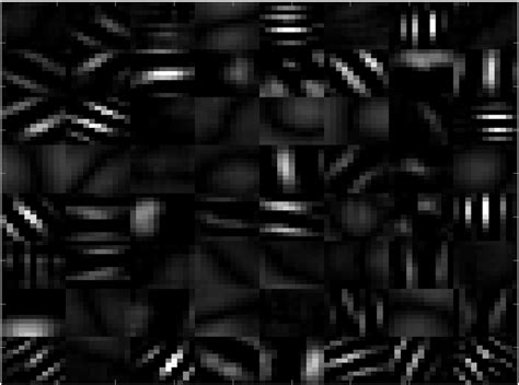 Convolutional Filters Selected By The First Layer Of The Chosen