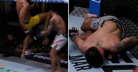 El Impactante Debut De Un Luchador En Ufc Ganó Por Nocaut Con Un