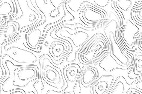 Fondo De Vector Abstracto Topográfico En Diseño En Blanco Y Negro